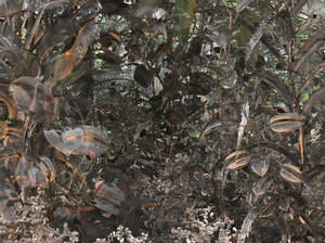 Work | Benjamin Muzzin